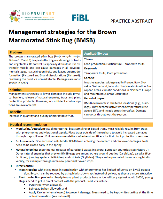 Management strategies for the Brown Marmorated Stink Bug (BMSB ...